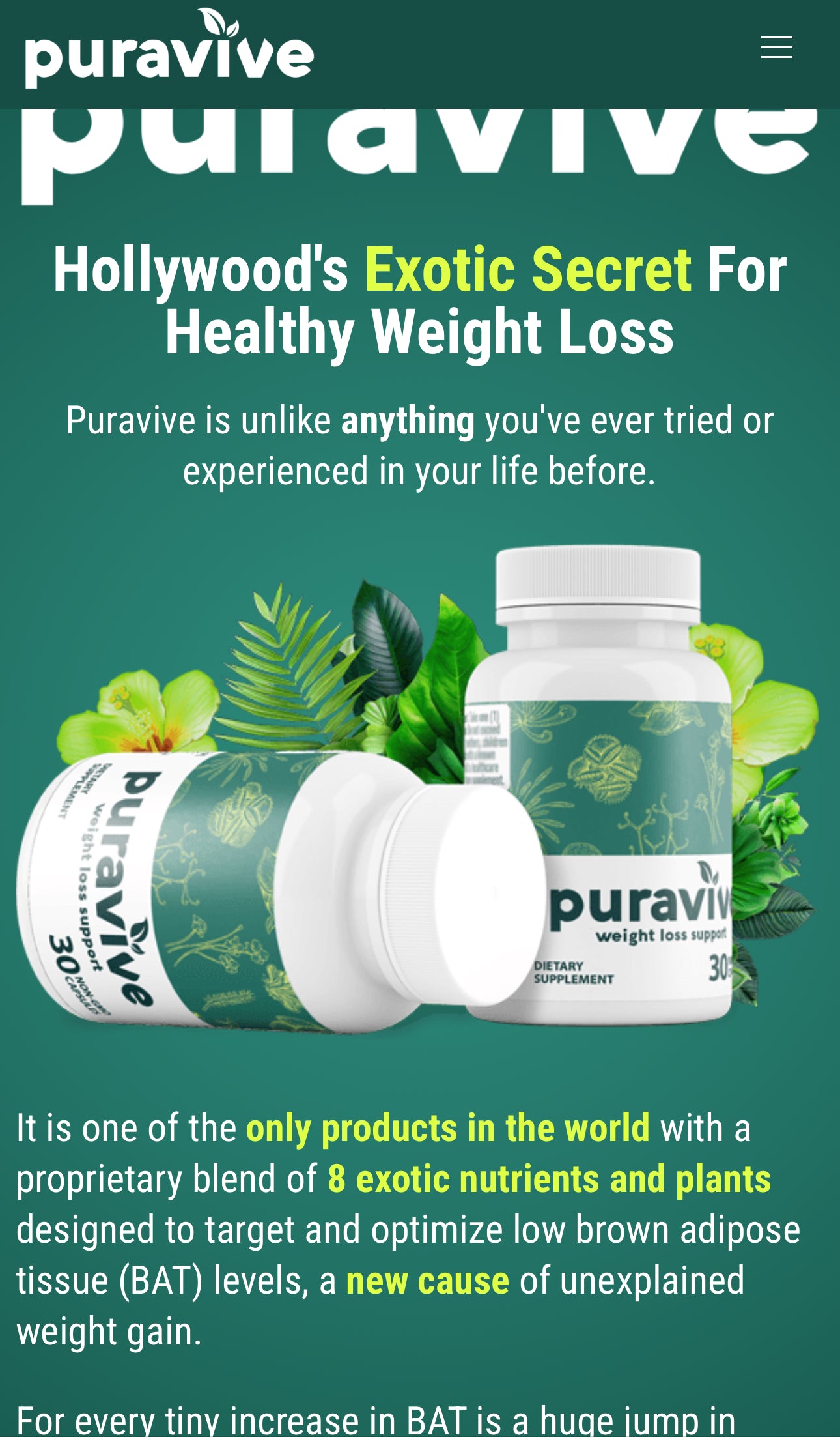 Health Haven: Your Journey to Well-Being Starts Here – LIVE FIT